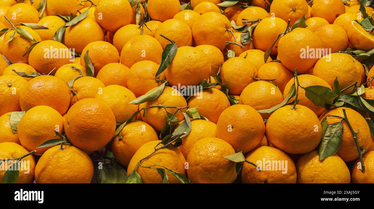 Luscious citrus fruits hi-res stock photography and images - Alamy
