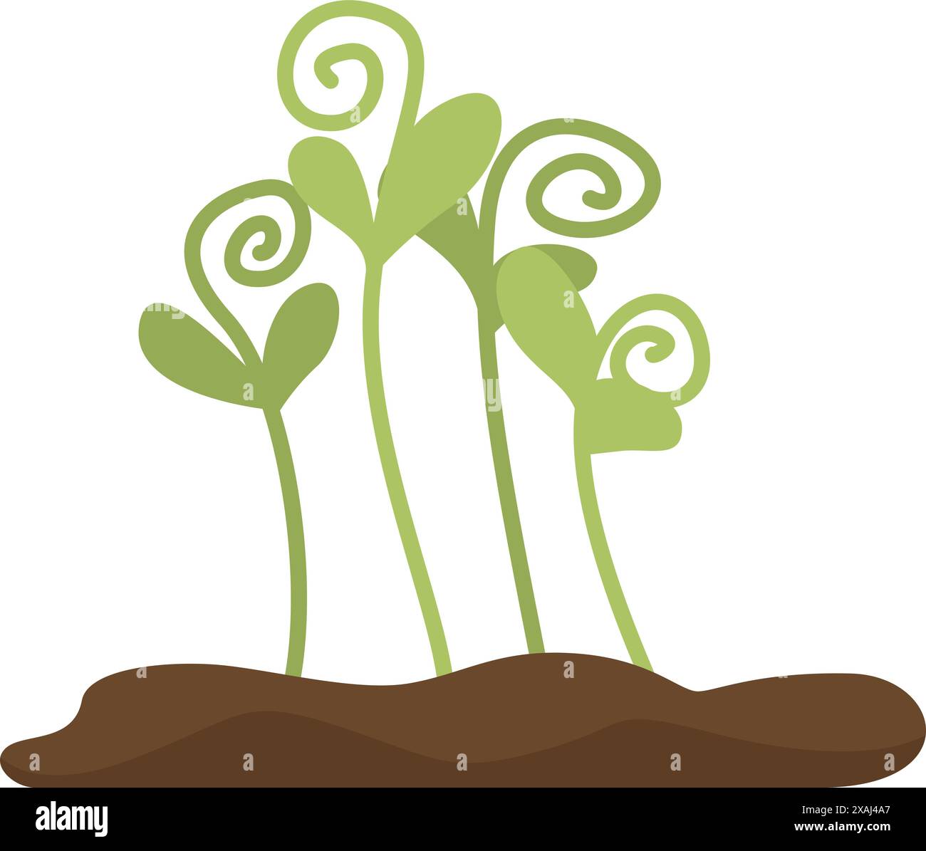 Plants growth potential Stock Vector Images - Alamy