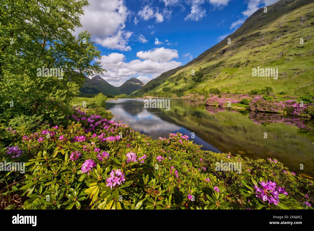 Glencoe in spring hi-res stock photography and images - Alamy