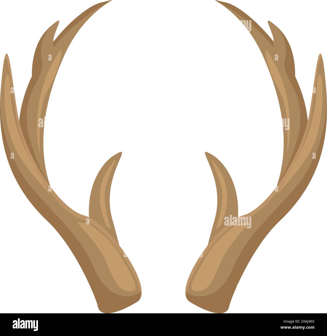 Pair of large brown antlers pointing upwards isolated on white ...
