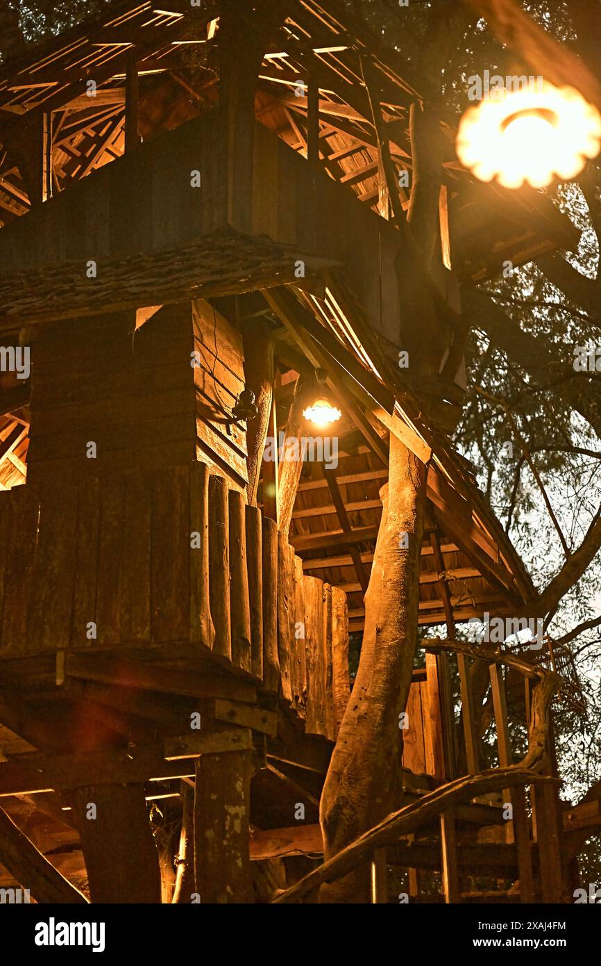 Wooden tree cabin in tropical forest Stock Photo - Alamy