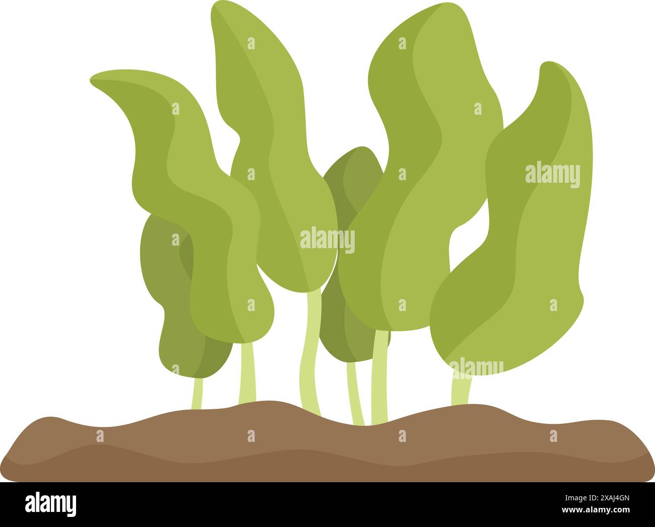 Green seedlings growing from the ground, simple cartoon illustration ...