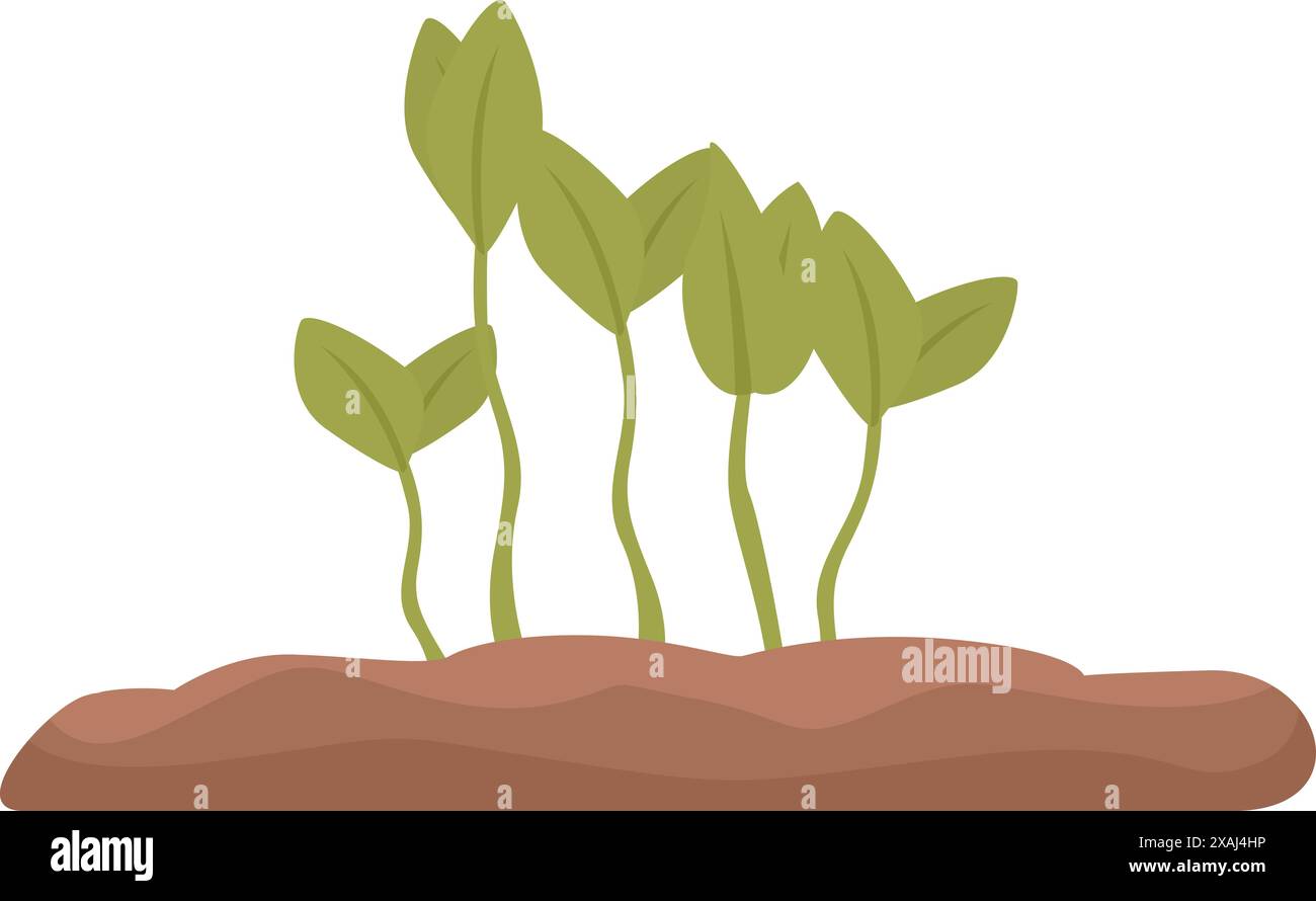 Five young plants growing from the ground, representing new life ...