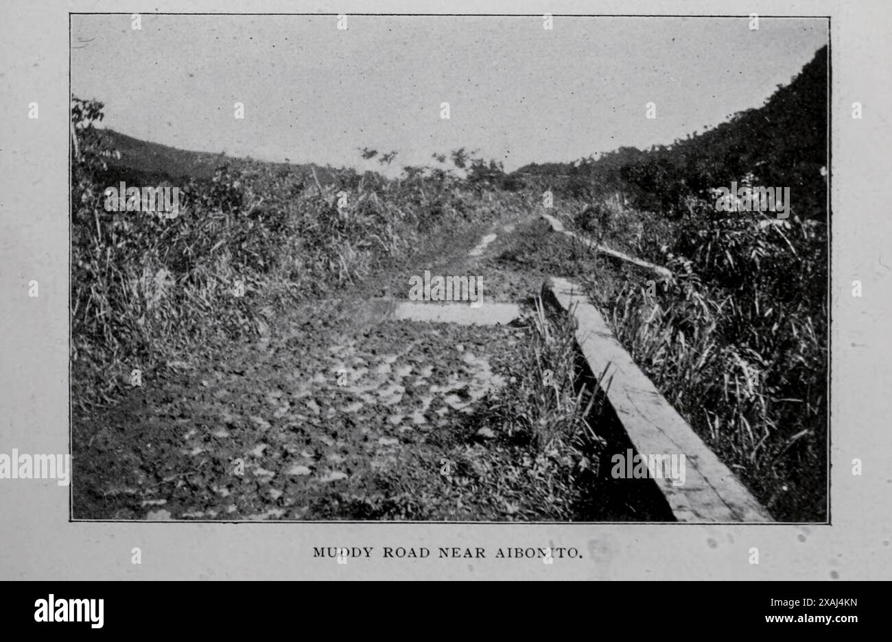 Porto rican landscape hi-res stock photography and images - Alamy