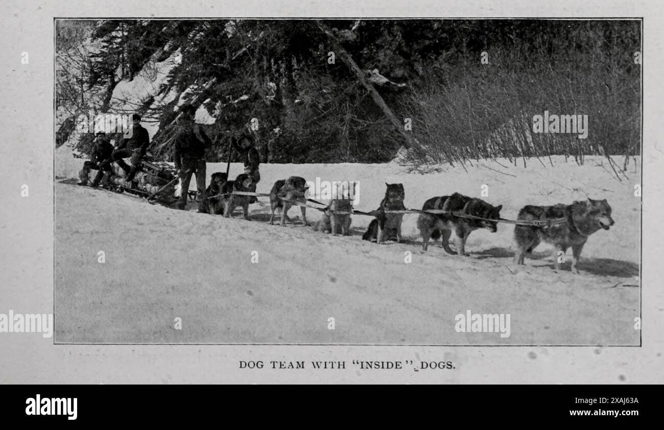 DOG TEAM with INSIDE DOGS from the Article THE ENGINEER AND THE ROAD TO ...