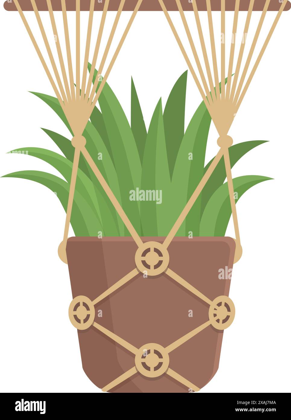 Green plant hanging from ceiling using macrame plant hanger Stock ...