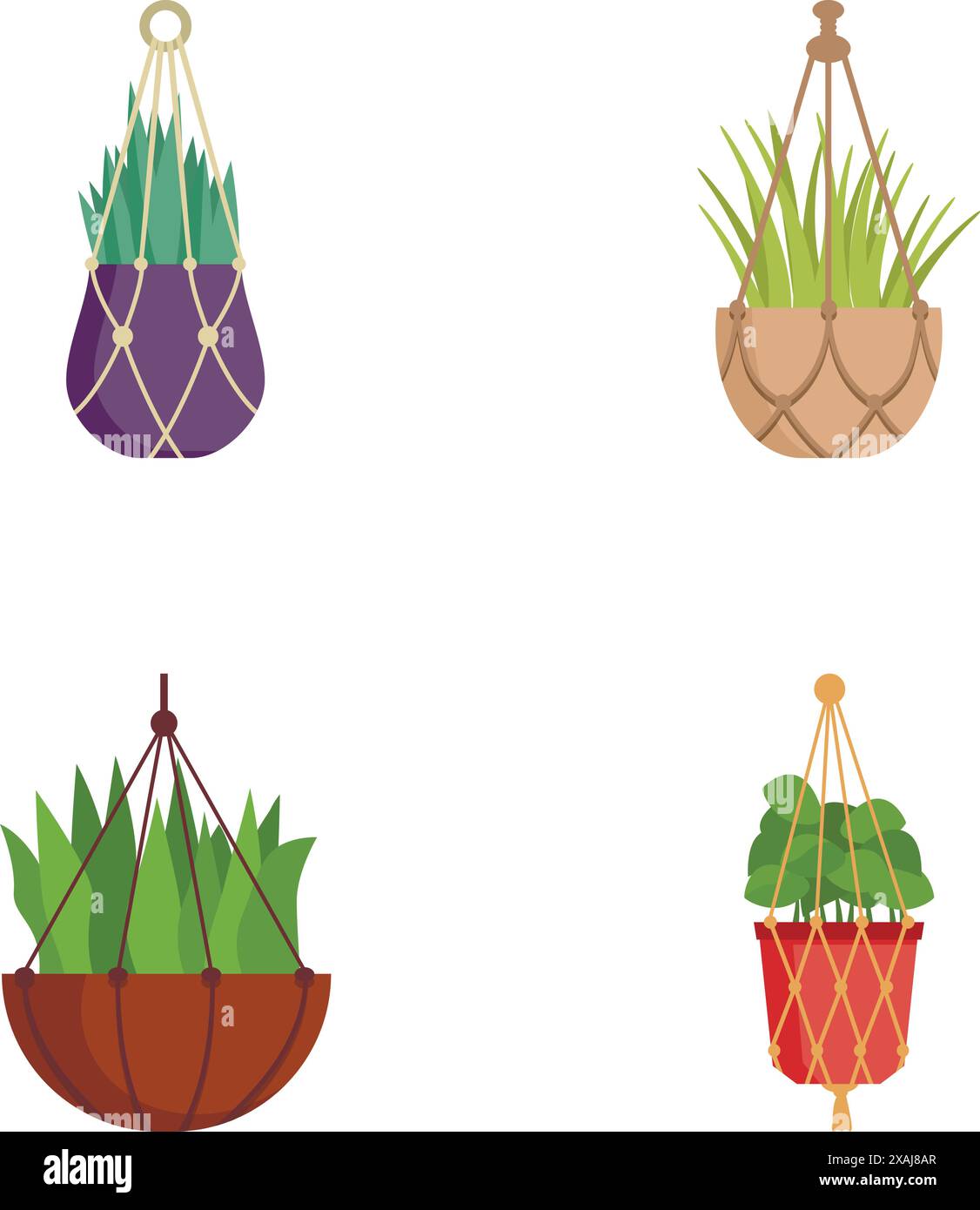 Collection of four vector illustrations of indoor hanging plants hi-res ...
