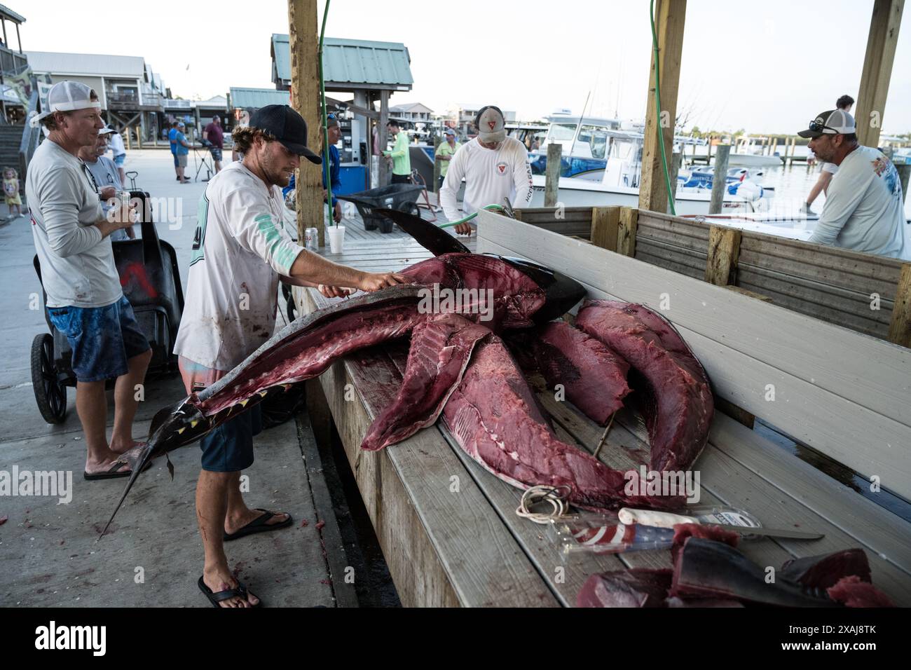 Fishermen clean and process their catch of tuna and redfish at the fish ...