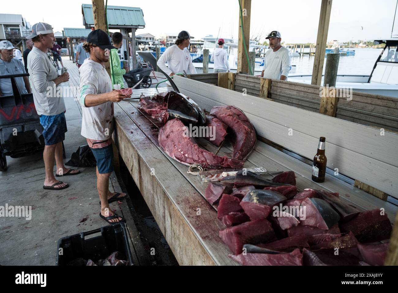 Fishermen clean and process their catch of tuna and redfish at the fish ...