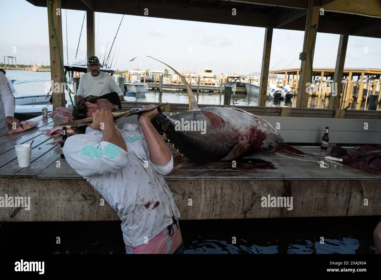 Fishermen clean and process their catch of tuna and redfish at the fish ...