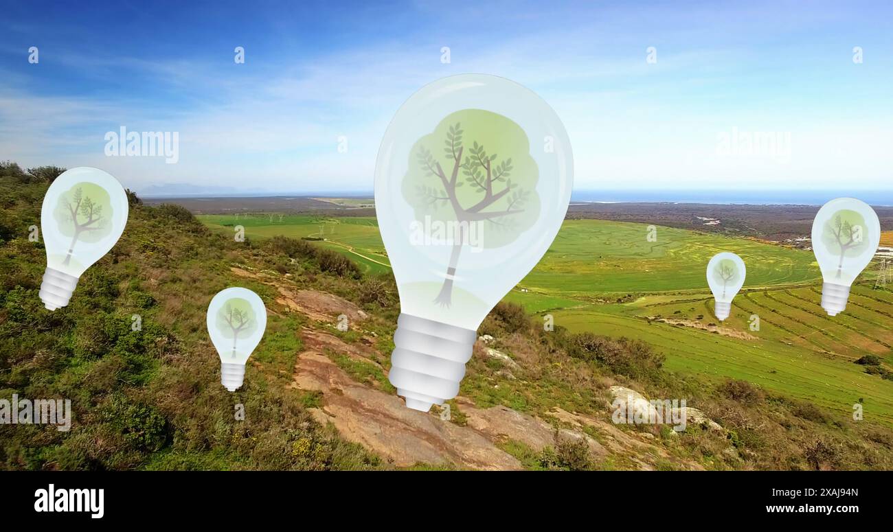 Floating light bulbs with tree illustrations symbolize sustainability ...