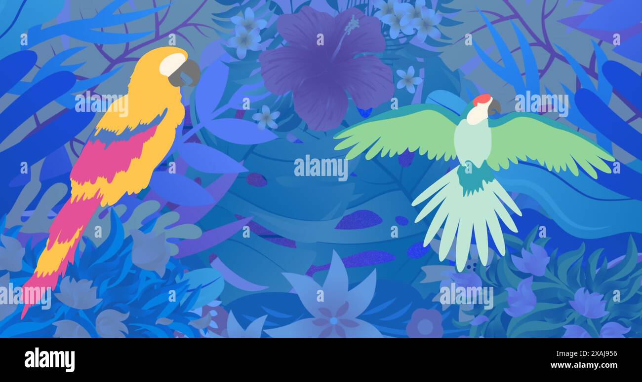 Vibrant parrots hi-res stock photography and images - Alamy
