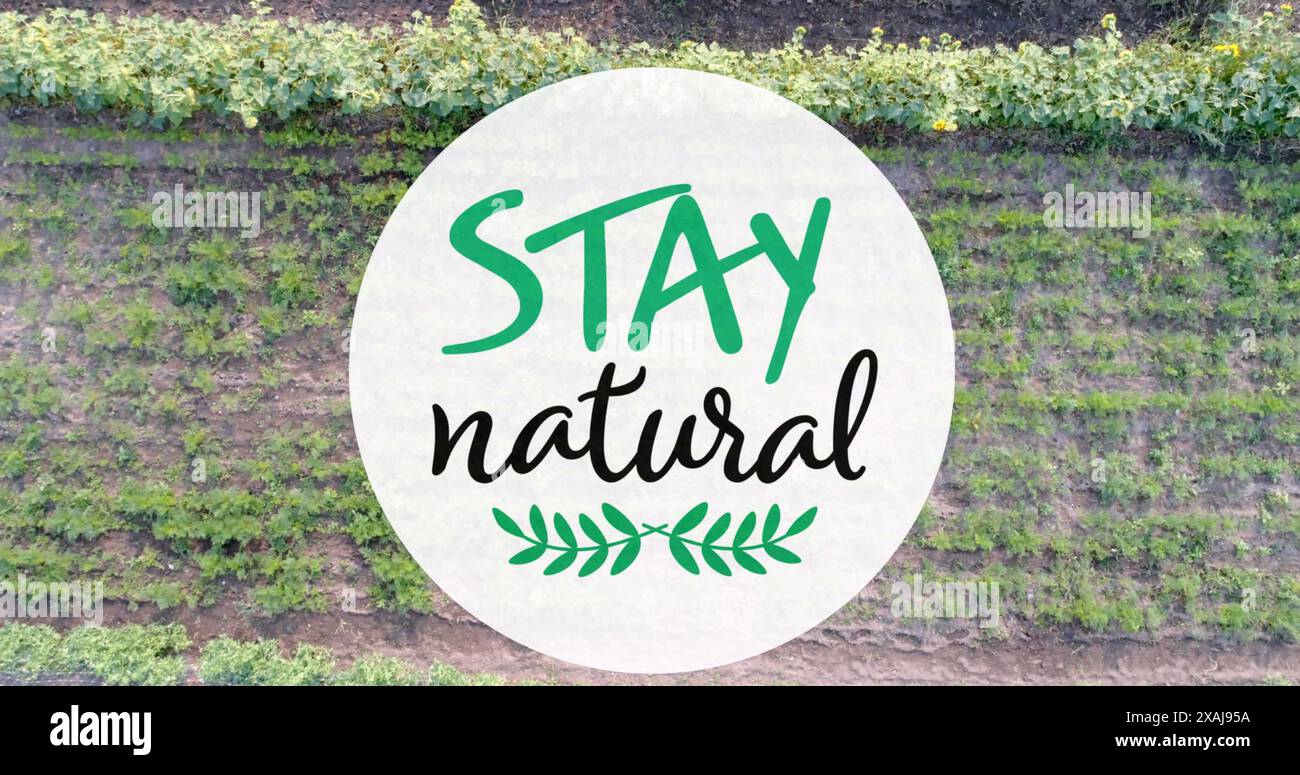 Image of stay natural text over field Stock Photo - Alamy