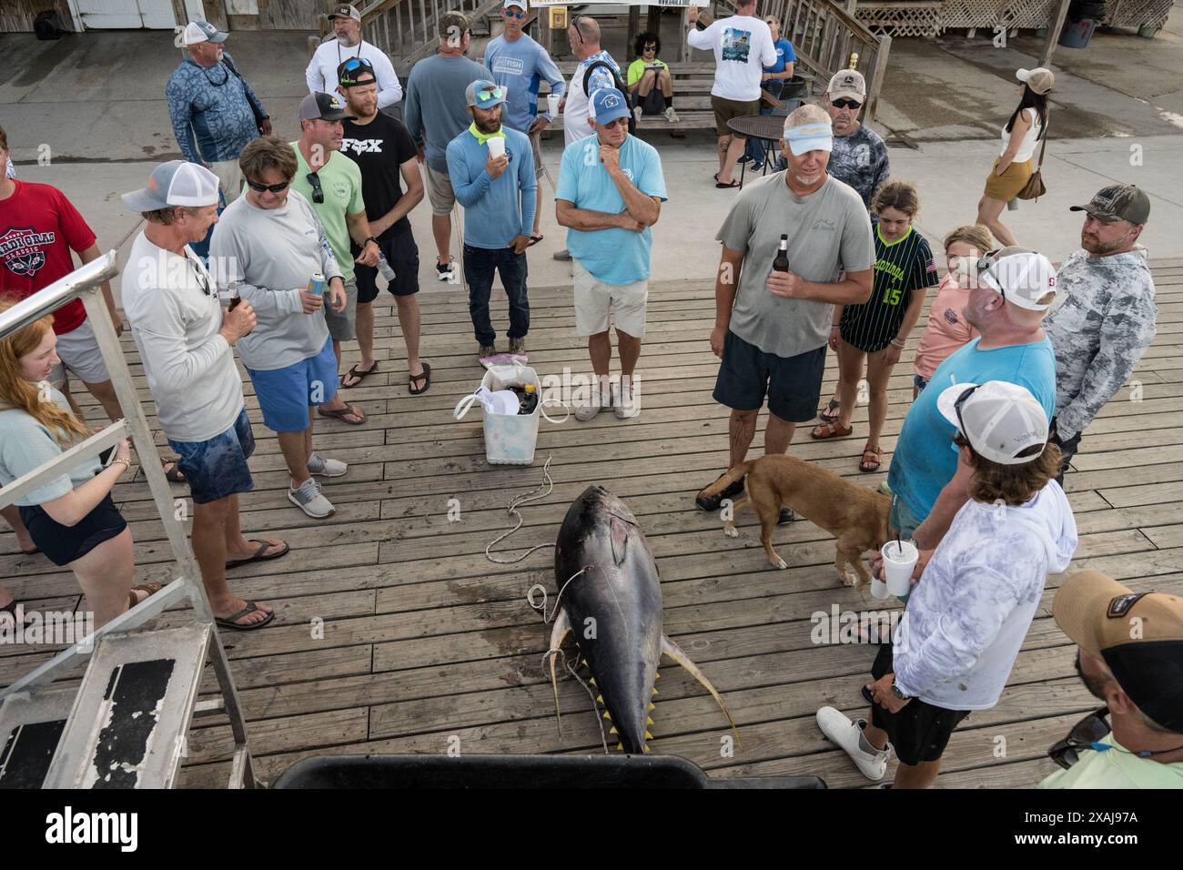 A group fishermen admire an impressive yellowfin tuna at the end of a ...