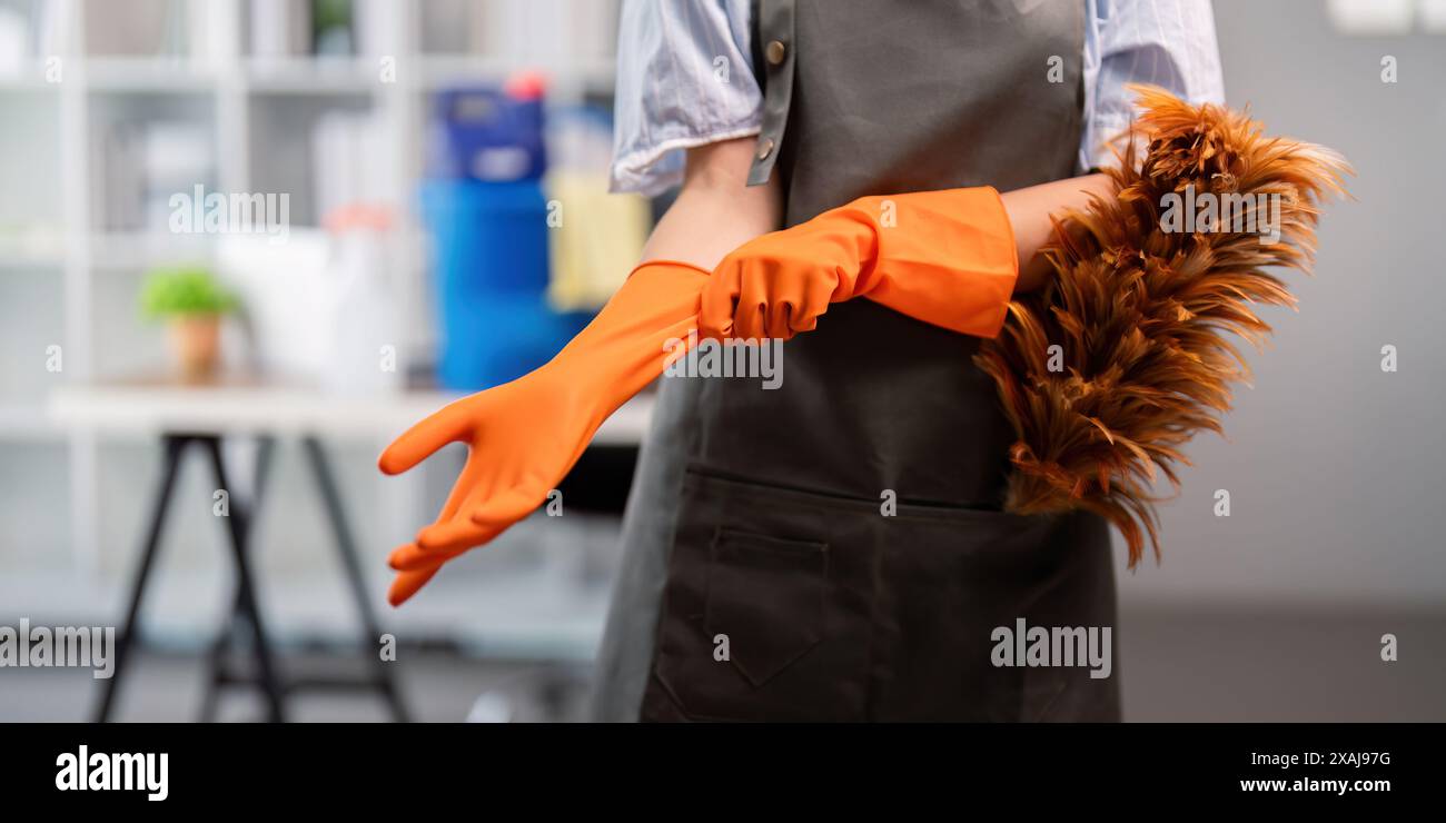 Female office cleaner putting on gloves with duster. Concept of workplace cleanliness Stock ...