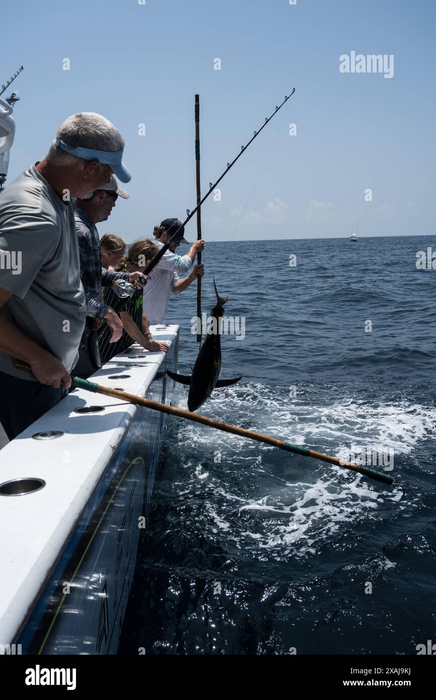 Oil rigs gulf of mexico fish hi-res stock photography and images - Alamy