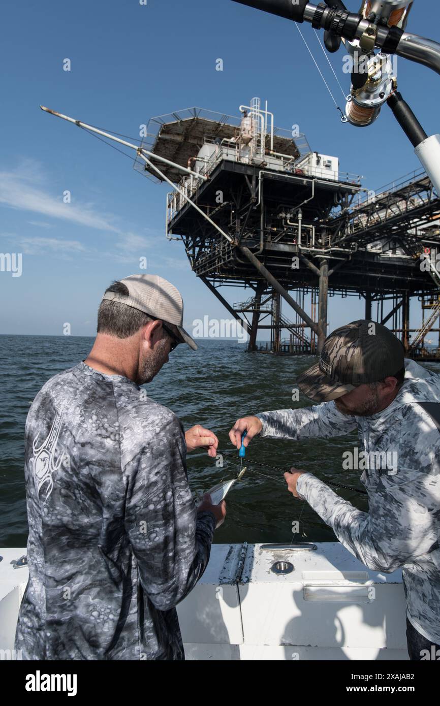 Anglers fish for baitfish while surrounded by offshore oil platforms in ...