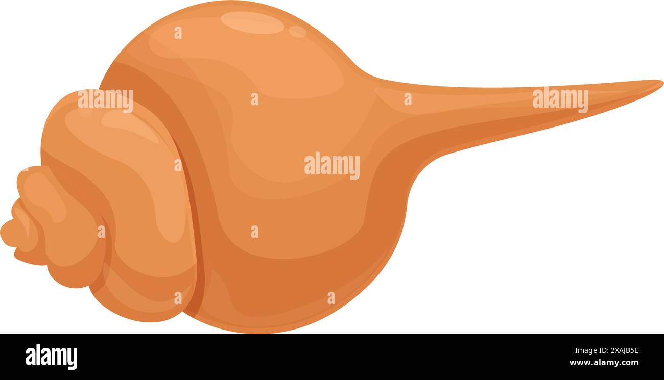 Big sea shell from tropical lagoon lying on white background Stock ...