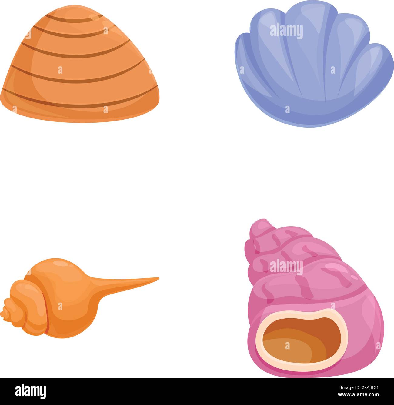 Vector illustration set featuring various colorful seashells, ideal for ...