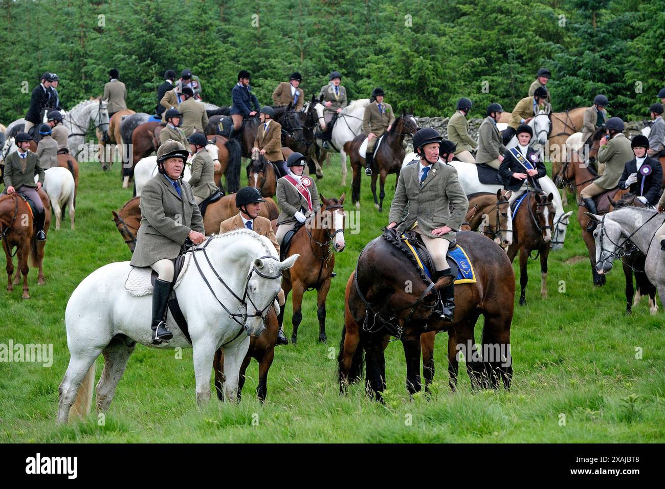 Hawick, UK, 07th June 2024: Some of the 210 mounted followers rest ...