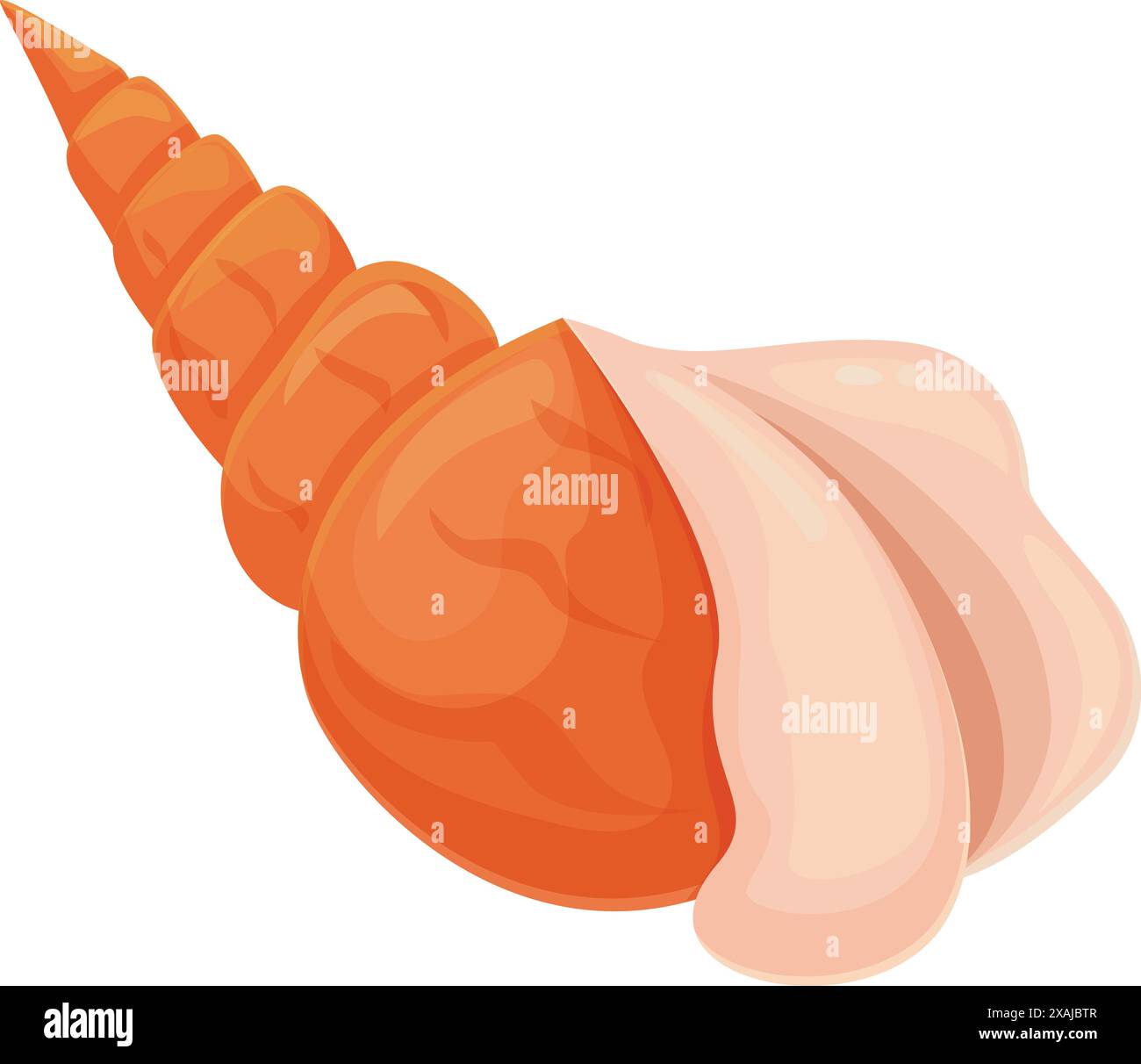 Beautiful orange seashell with pink inside lying on white background ...