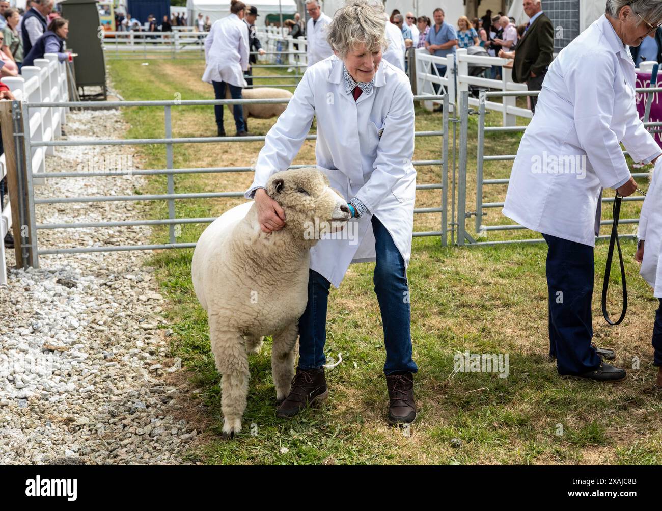 Wadebridge,Cornwall,7th June 2024,The Royal Cornwall Show is the County ...