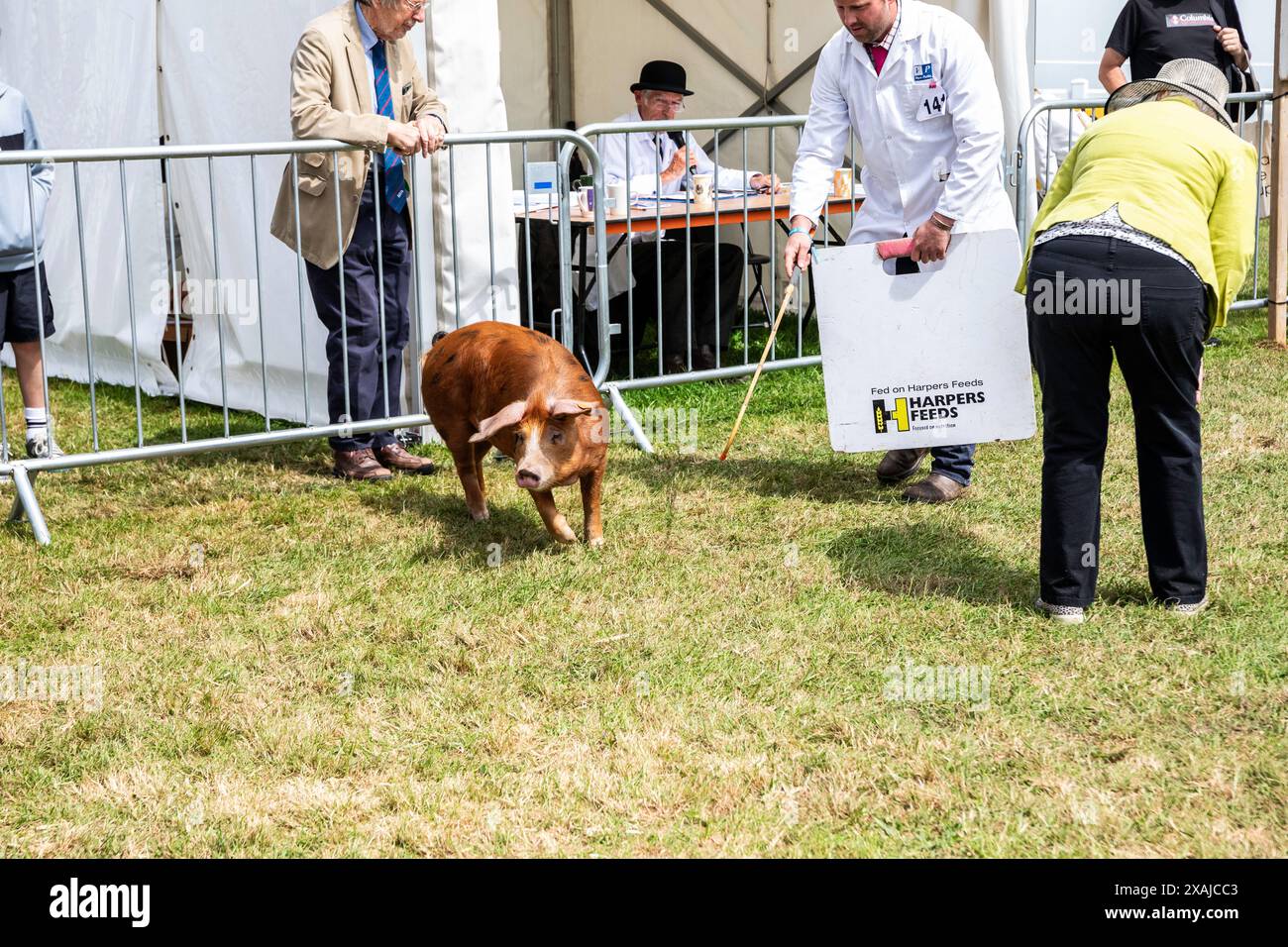 Wadebridge,Cornwall,7th June 2024,The Royal Cornwall Show is the County ...