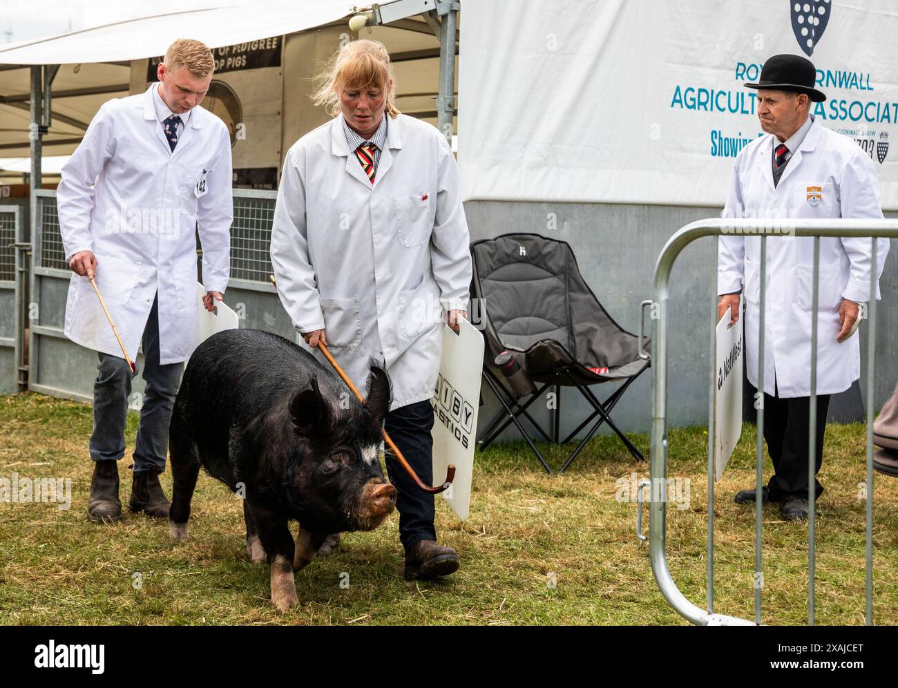 Wadebridge, Cornwall,7th June 2024, The Royal Cornwall Show is the ...