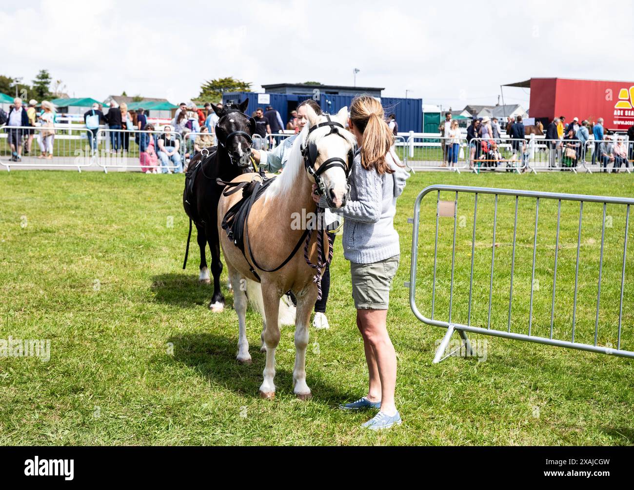 Wadebridge, Cornwall,7th June 2024, The Royal Cornwall Show is the ...
