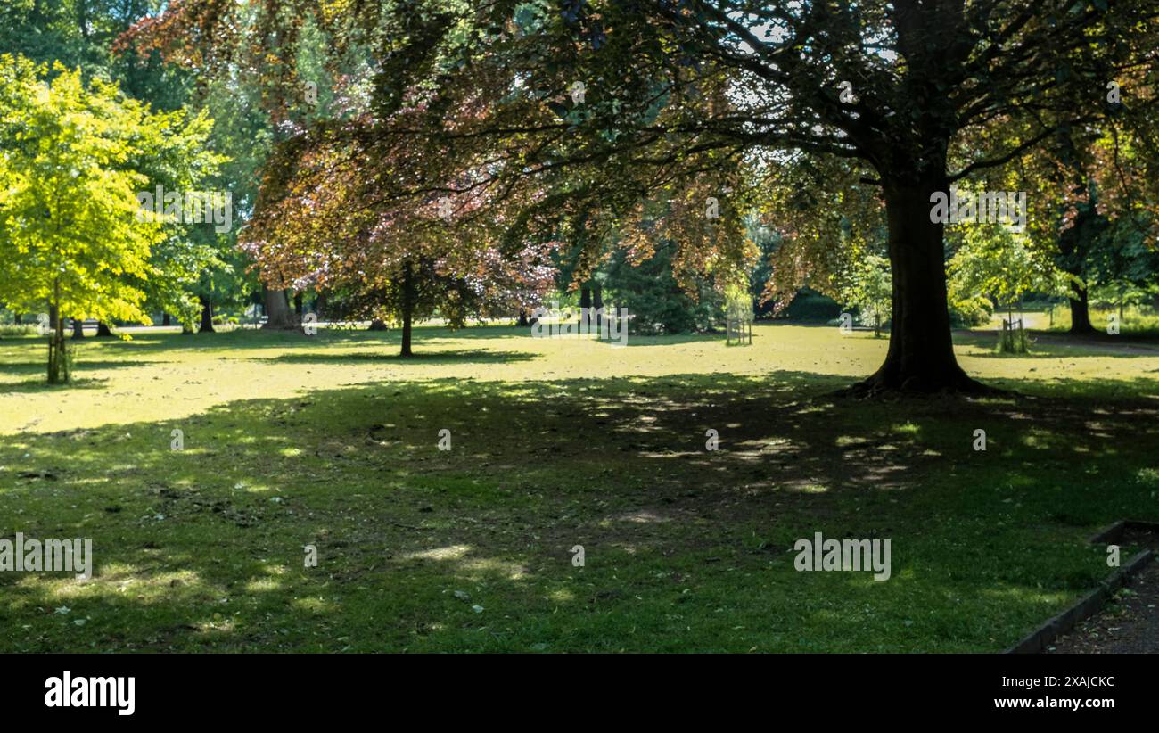 Ropner hi-res stock photography and images - Alamy