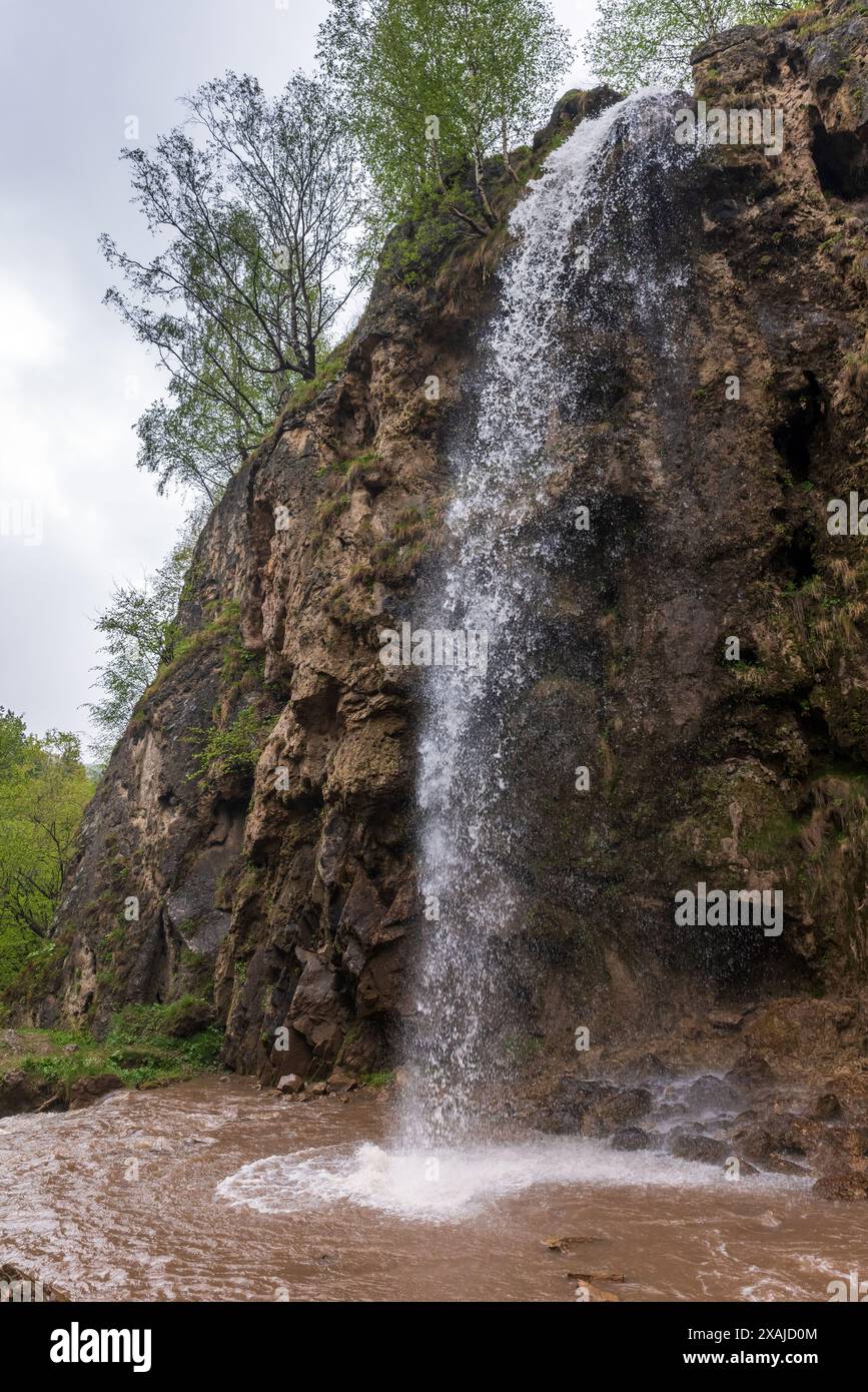 Honey waterfalls on a summer day, vertical photo. This is a group of ...
