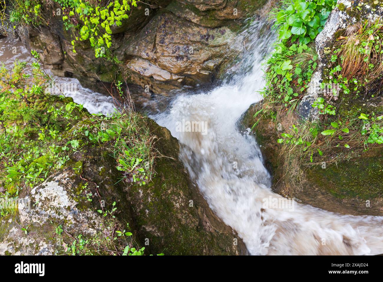 Fast stream water flows between wet stones. Honey waterfalls. This is a ...