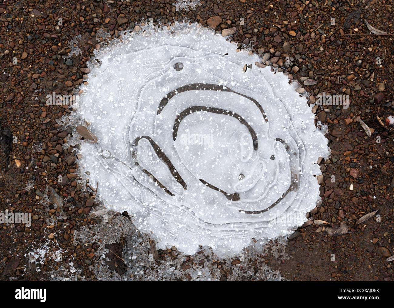 Frozen puddle close up, ice texture, cold temperature Stock Photo - Alamy