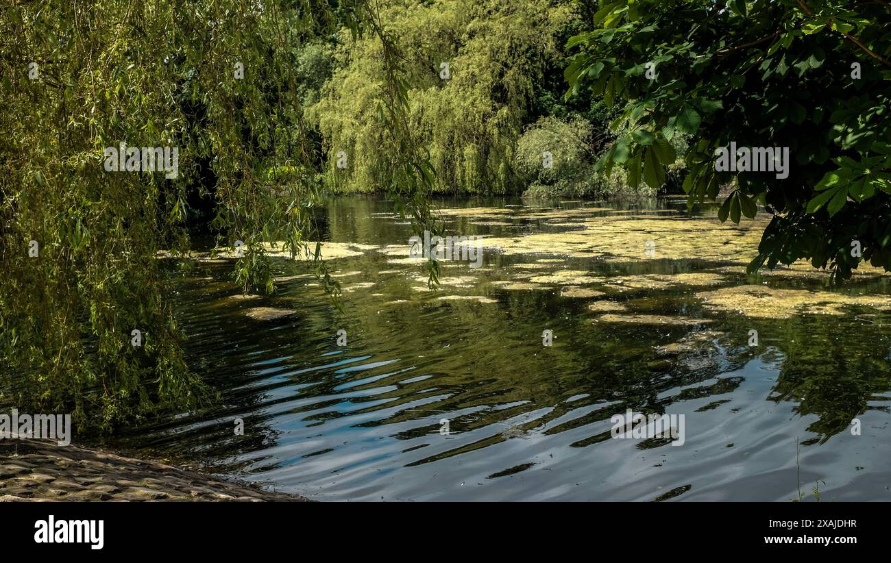 Ropner park stockton hi-res stock photography and images - Alamy