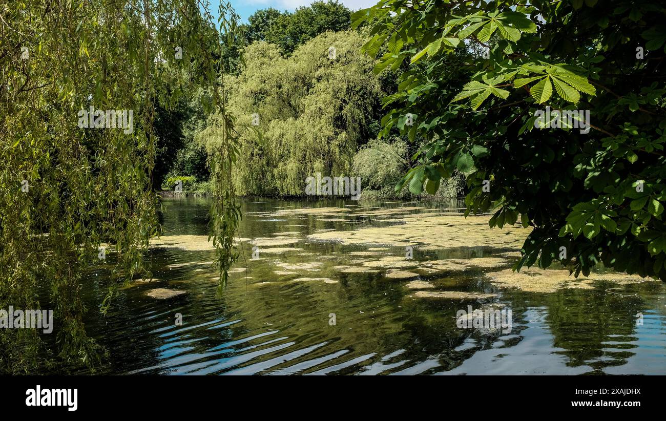 A scenic view of the lake at Ropner Park,Stockton,England,UK Stock ...