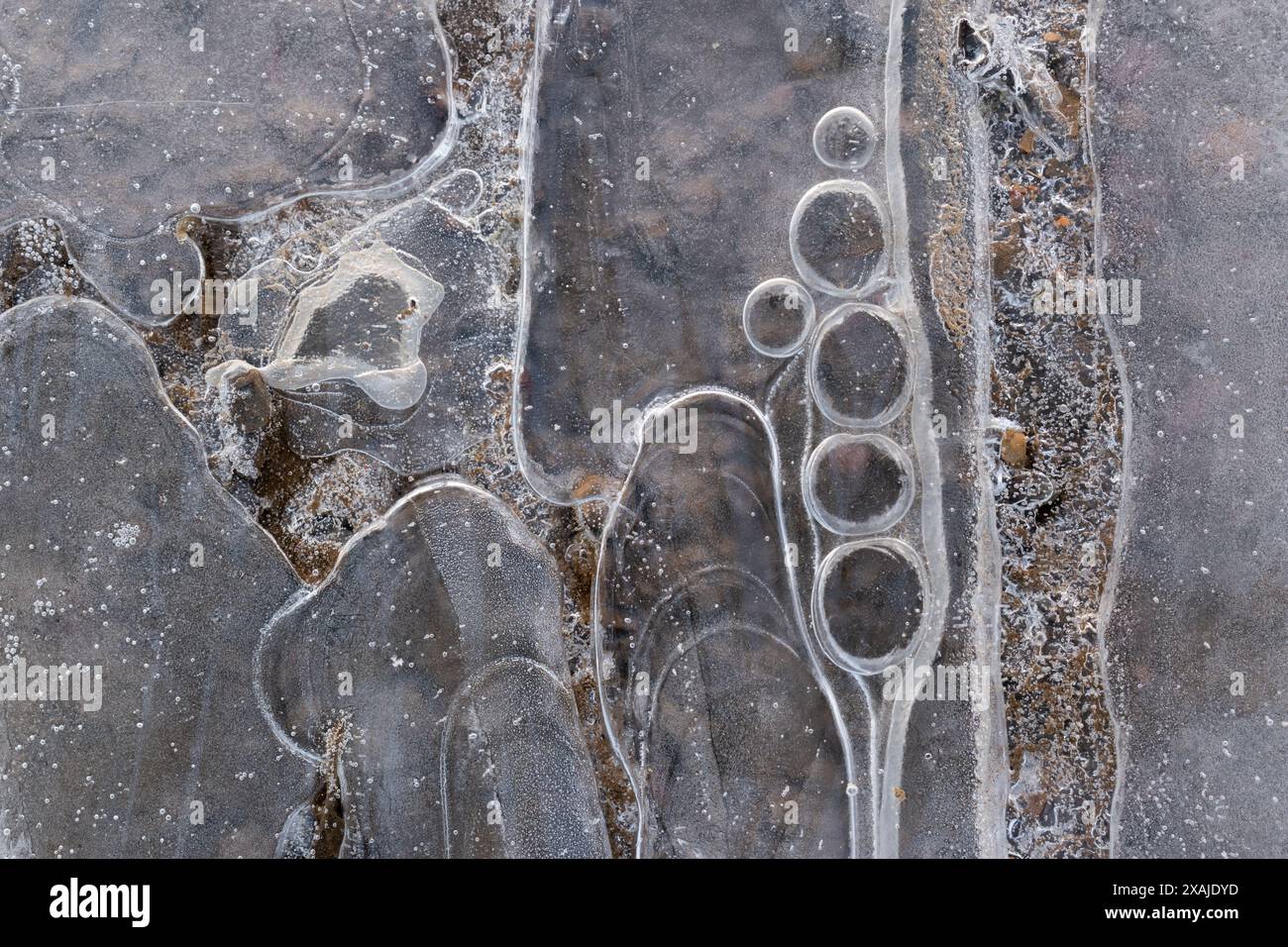 Round shapes in nature hi-res stock photography and images - Alamy