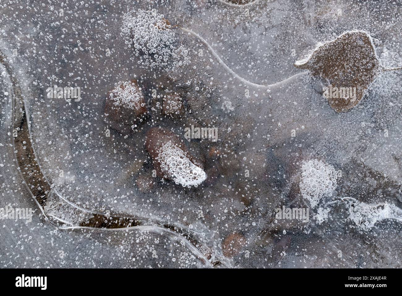 Surface of frozen puddle, gravel with bubbles and dry leaf in ...