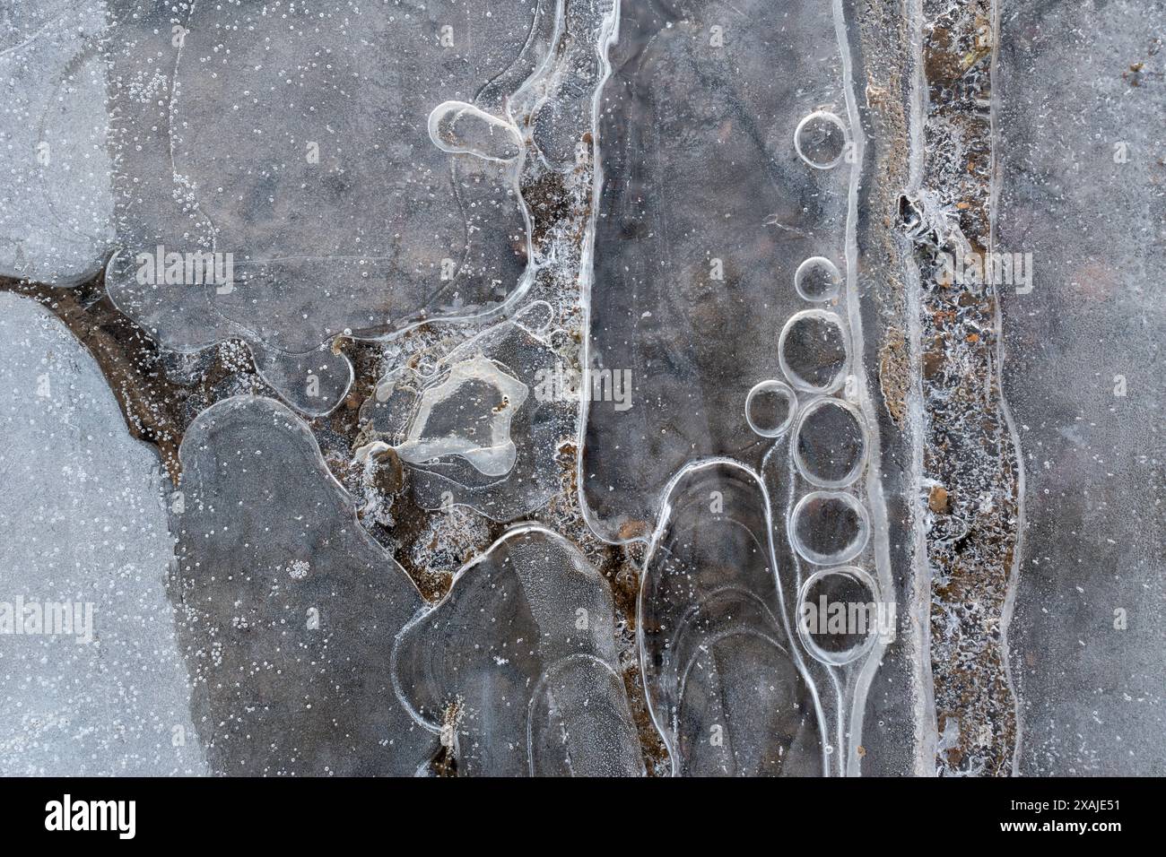 Round shapes in ice on surface of frozen puddle close up Stock Photo ...
