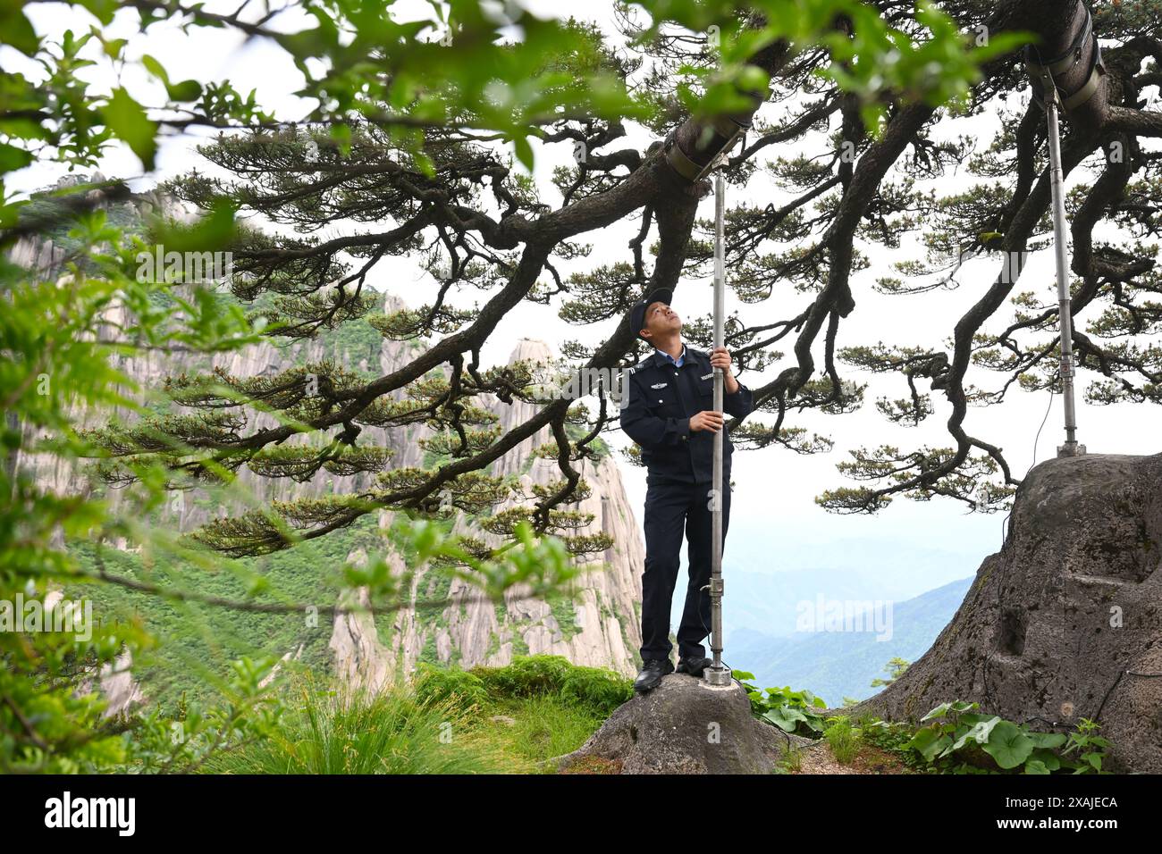 10 meter tall hi-res stock photography and images - Alamy