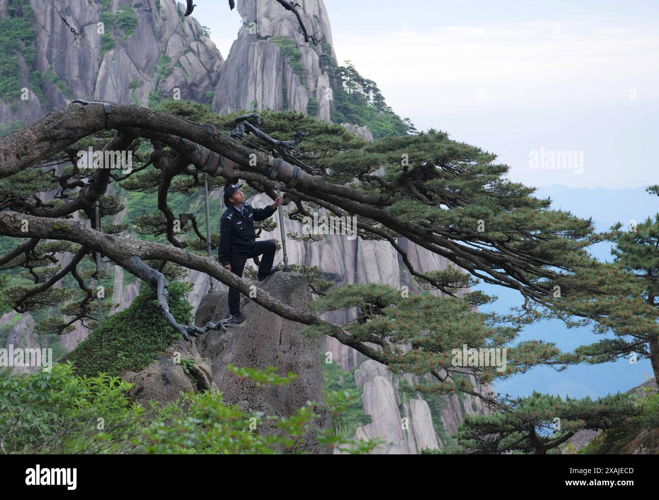 (240607) -- HEFEI, June 7, 2024 (Xinhua) -- Ding Ding takes a routine check of the Guest ...