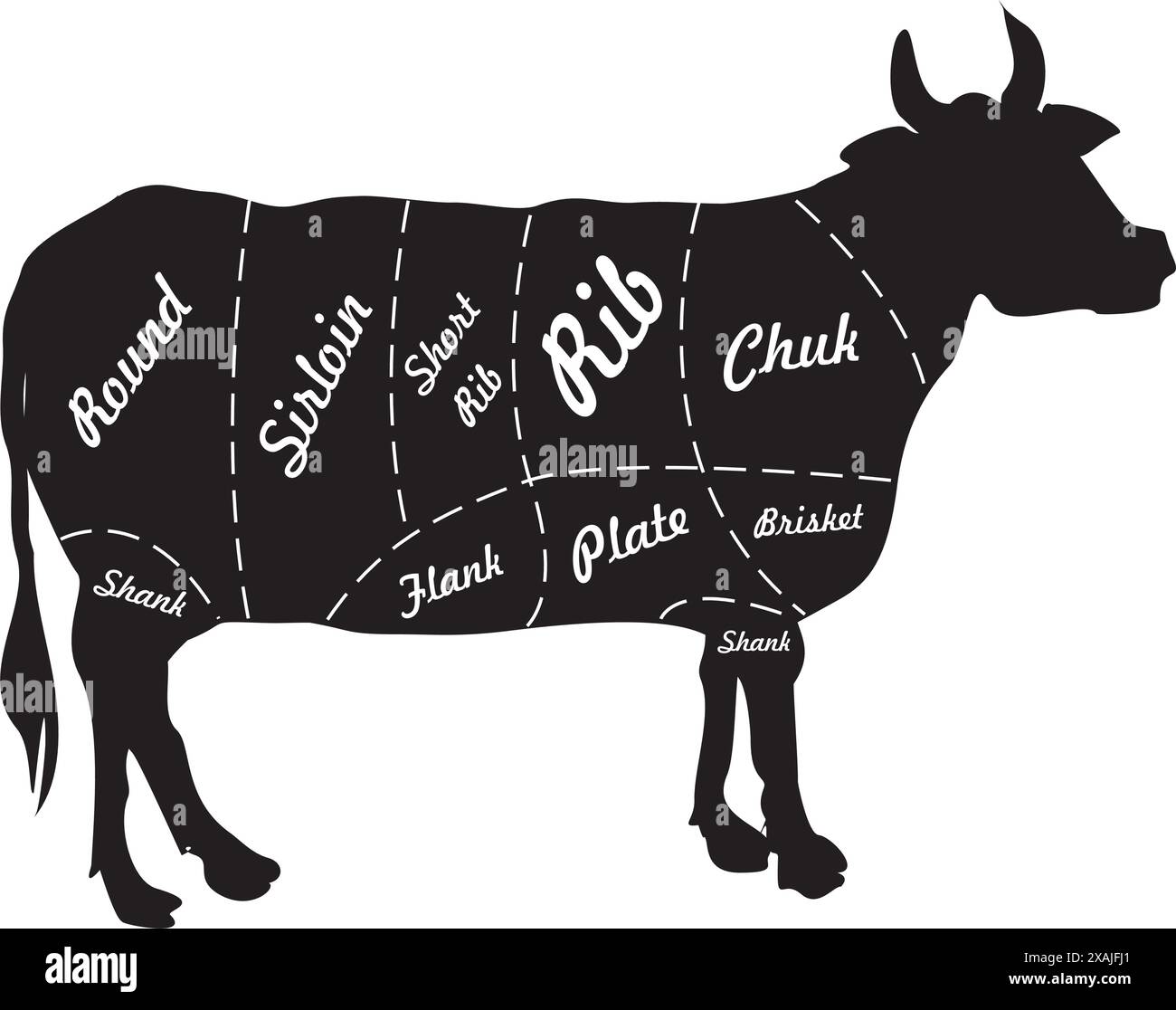 Types of beef cuts from a cow on a white background Stock Vector Image ...