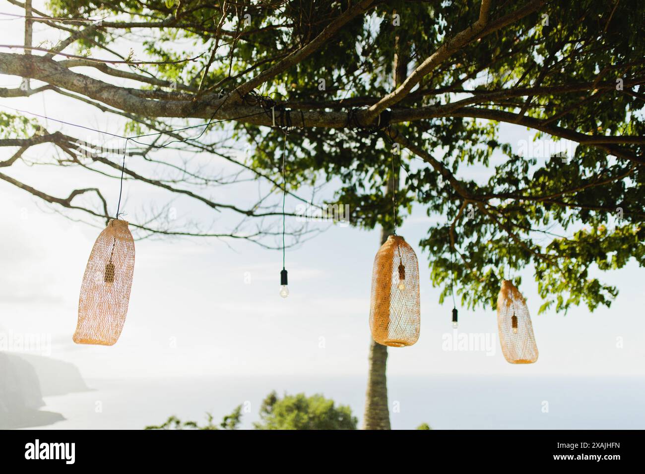 Hanging wicker chandelier and lights hang in tree by Hawaiian cliffs ...