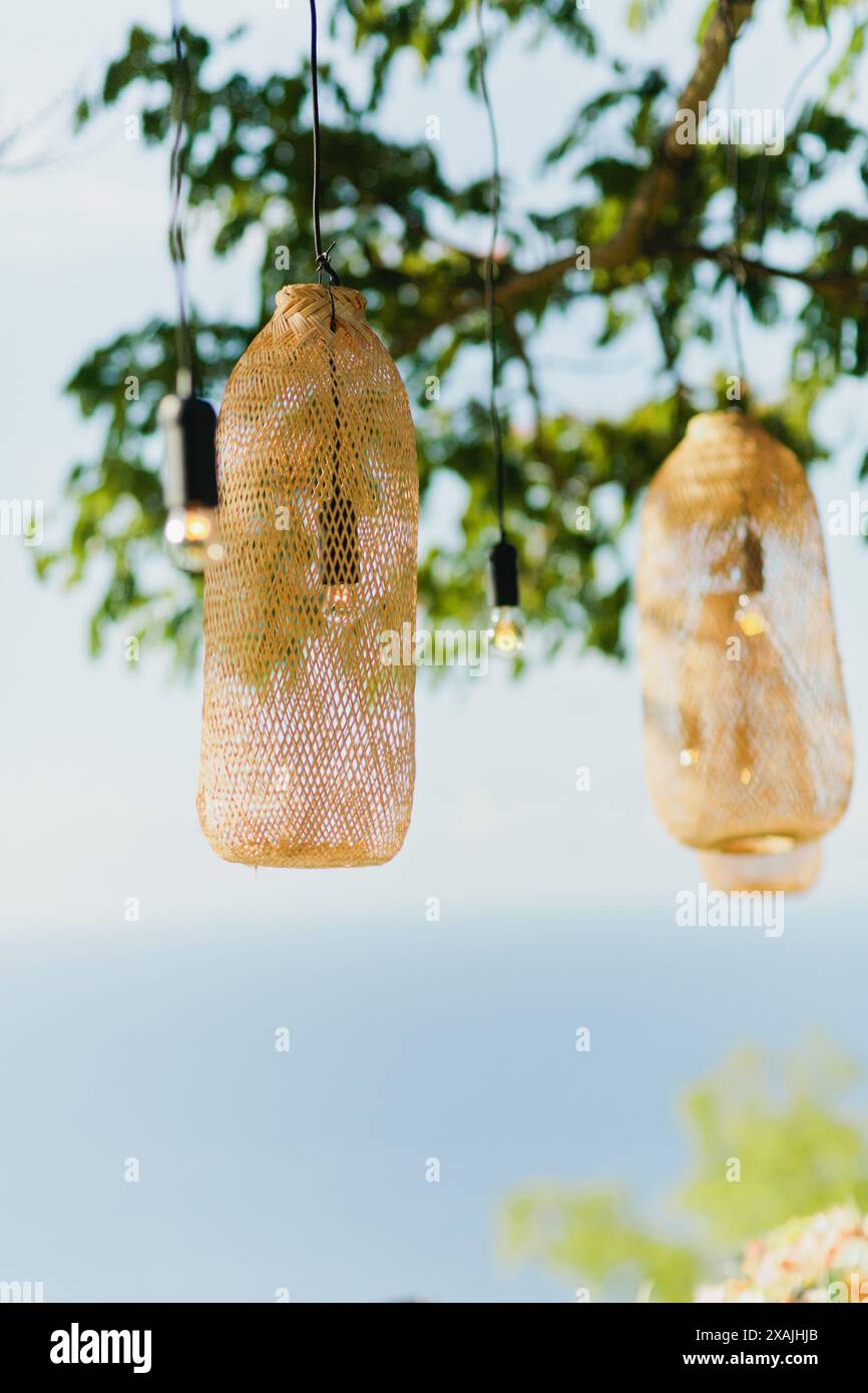 Wicker trees hi-res stock photography and images - Alamy