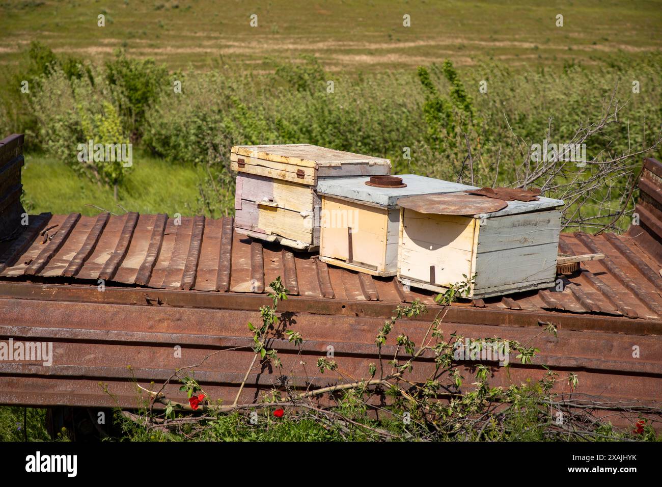 Colorful wooden bee boxes hi-res stock photography and images - Alamy
