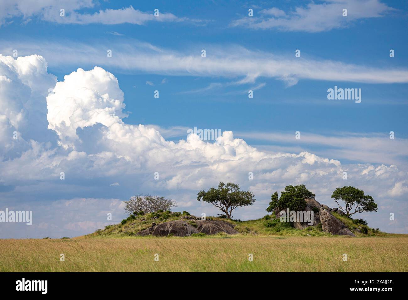 African kopje hi-res stock photography and images - Alamy
