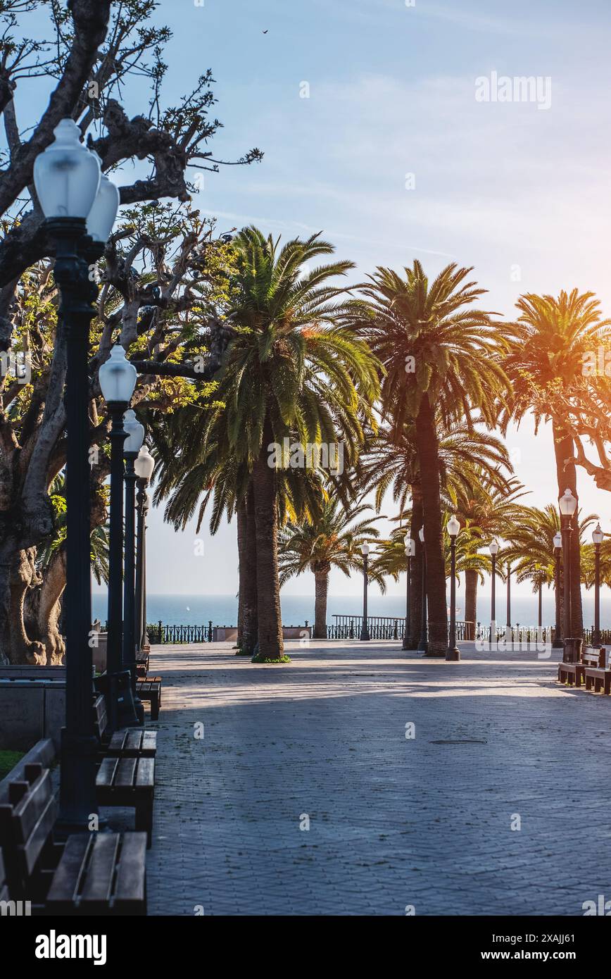 palm tree alley and sunset at beautiful Tarragona coastal town ...