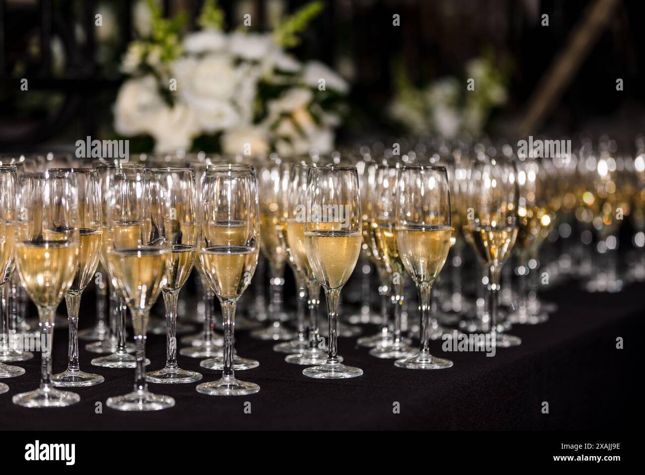 Elegant Champagne Flutes at a Gala Event Stock Photo - Alamy