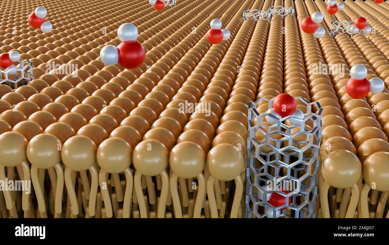 3d rendering of molecules passing through carbon nanotube porins on ...