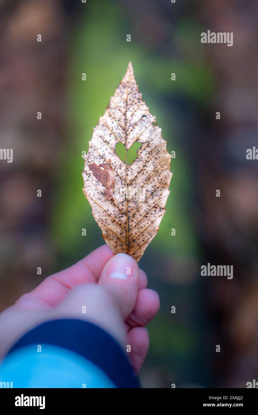 Heart found in nature hi-res stock photography and images - Alamy