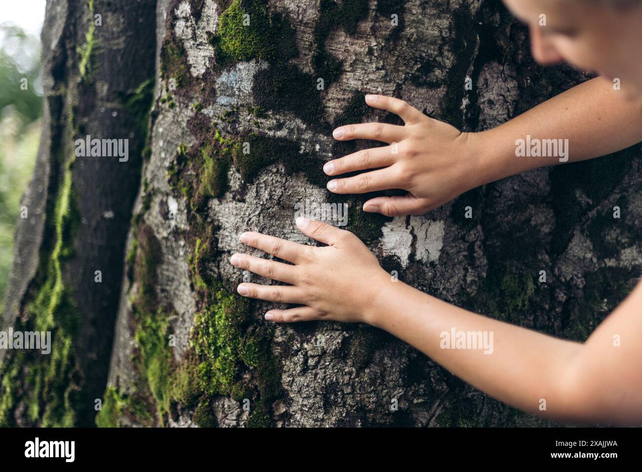 Hands and tree hi-res stock photography and images - Alamy